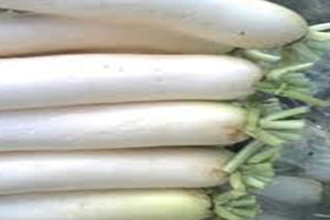 Vegetables – Satvik