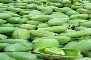 Vegetables – Satvik