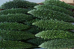 Vegetables – Satvik