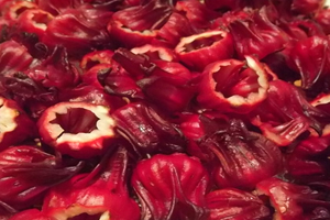 Vegetables – Satvik