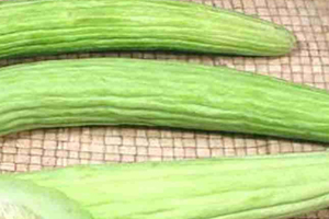 Vegetables – Satvik